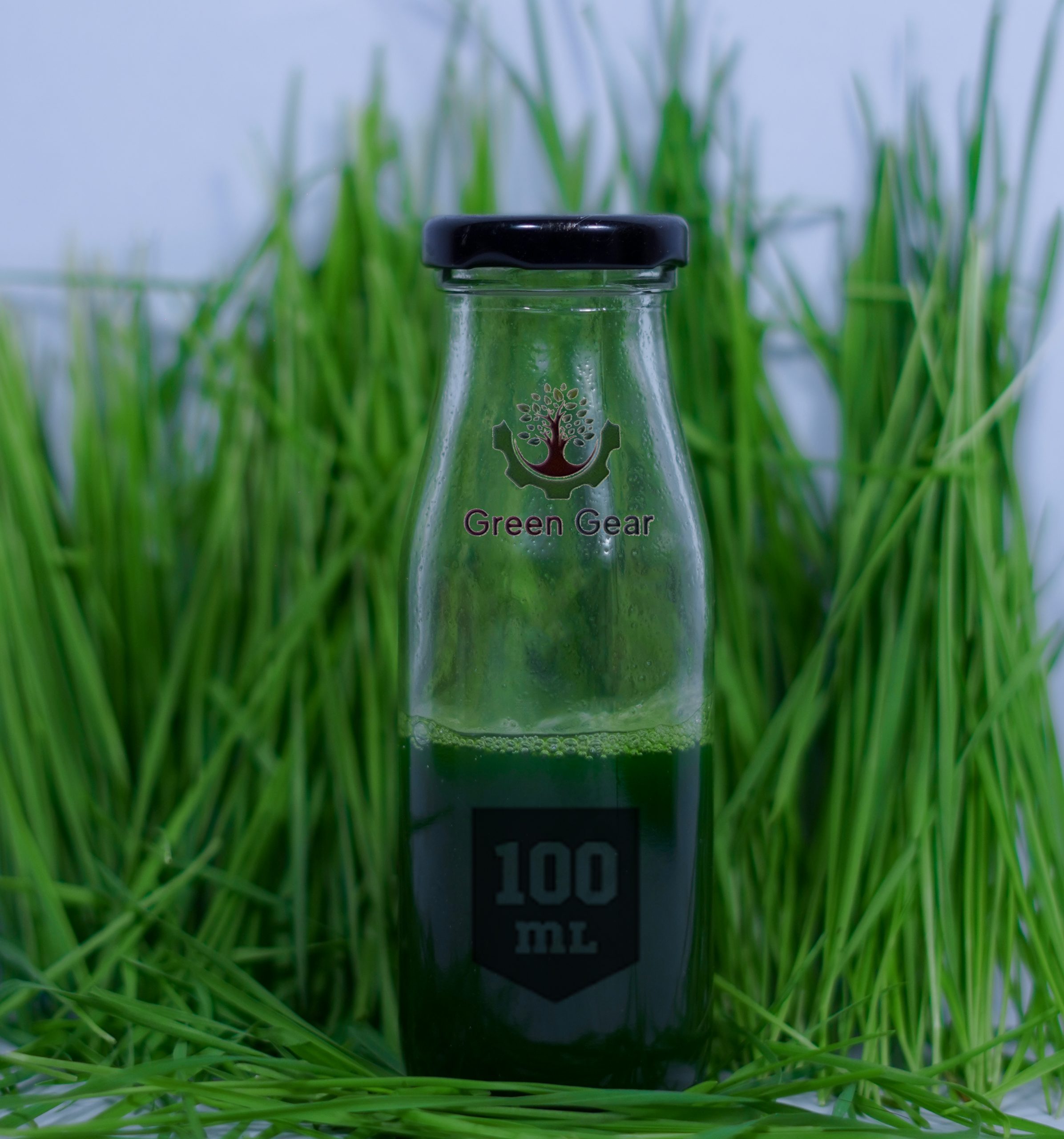 Wheatgrass – Green Gear